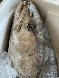 Nico's Fish Market – We Are Local Fishermen