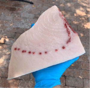 Nico's Fish Market – We Are Local Fishermen