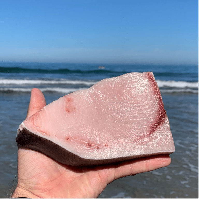 Market – Nico's Fish Market